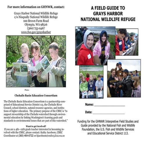 Animals come home vocabulary | PPSX