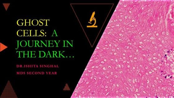 Mandibular central incisor | PPTX