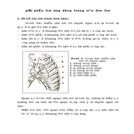 Giai phau tim ung dung trong sieu am | DOC