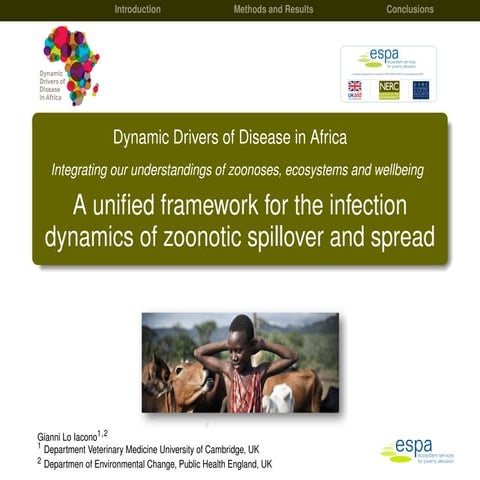 A unified framework for the infection dynamics of zoonotic spillover ...