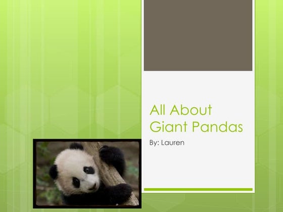 All about the Arctic Fox | PPTX | Polar Travel | Travel Locations