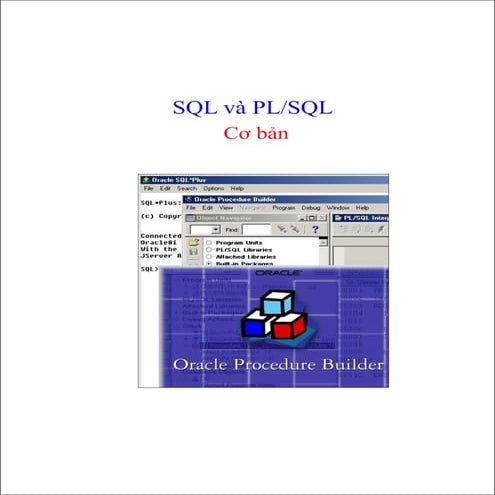 Giao-Trinh-Oracle-SQL-PLSQL-Co-Ban.pdf