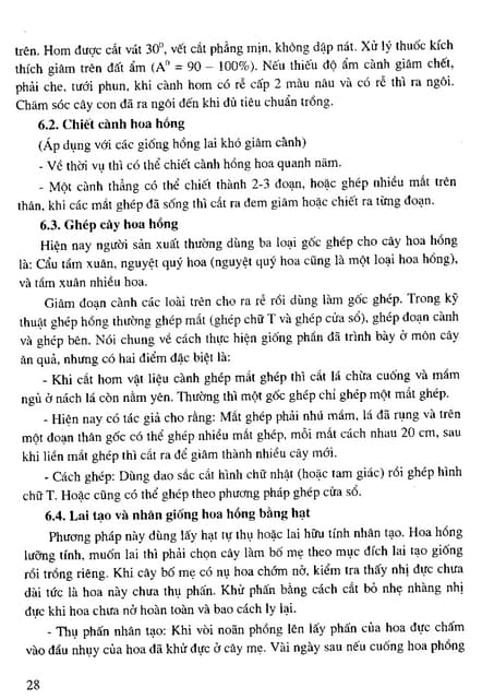 PVS GAP Analysis certificate | PDF