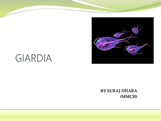 Classification of medical parasites | PPT