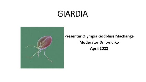 protozoa presentation giardia lamblia.ppt