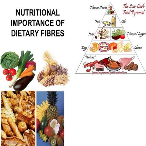 GI, DIETARY FIBER, & COLON CANCER.pdf___ | PDF