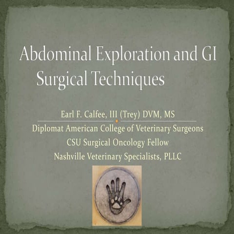 Gastrointestinal Veterinary Talk, Part 1 | PPTX