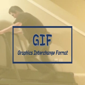 Gif | PDF