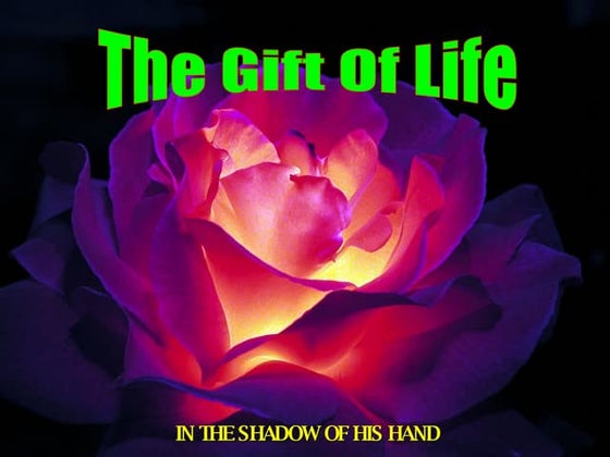 The Gift Of Life | PPS | Spirituality | Religion & Spirituality