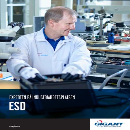 Gigant ESD folder | PDF