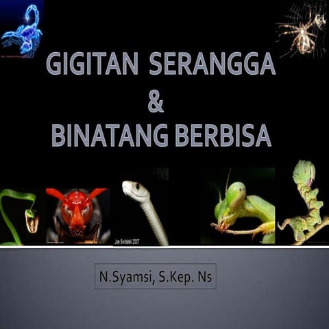 Gigitan serangga dan binatang berbisa | PPTX