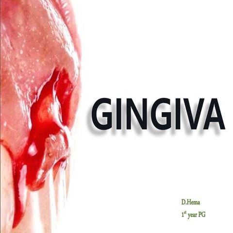 Gingiva | PPTX