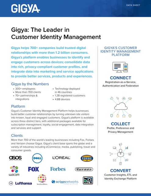 Case Study: Verizon Wireless | PDF