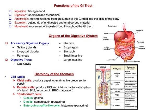 Pancreatic juice... | PPTX