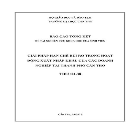 Giải pháp hạn chế rủi ro trong hoạt động xuất nhập khẩu của các doanh ...