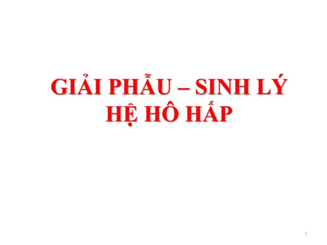 Giai phau he sinh duc | PPT