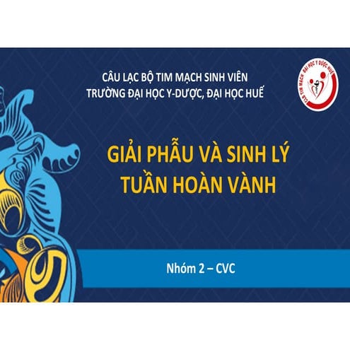 Giải phẩu và sinh lý tuần hoàn vành.pdf