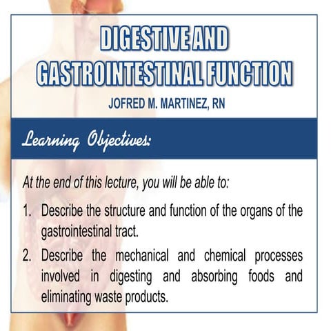 GI System 1 Lecture | PDF