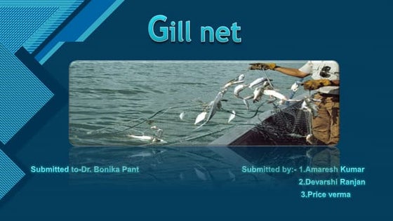 Developmental stages of penaeid shrimp | PPT