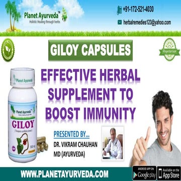 Giloy Capsules (Tinospora Cordifolia) - Ayurvedic, Medicinal Properties ...