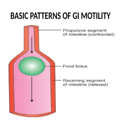 Gasto Intestinal MOTILITY.pptxxxxxxxxxxx | PPT