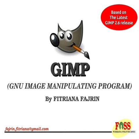 Gimp | PDF