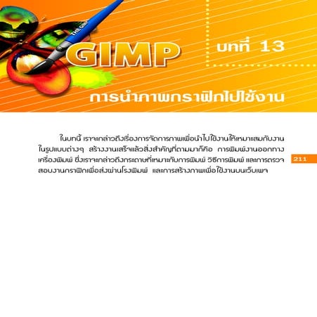 Gimp13 | PDF