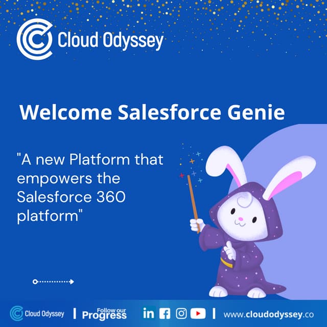 Salesforce Genie Pdf