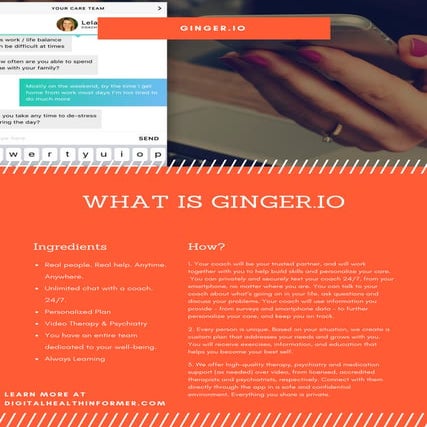 Ginger.io Snapshot | PDF