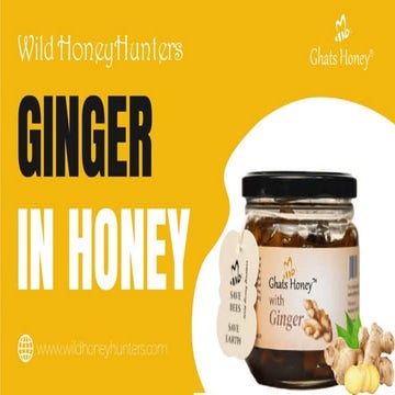 The Ginger in Honey - Wild Honey Hunters | PPTX