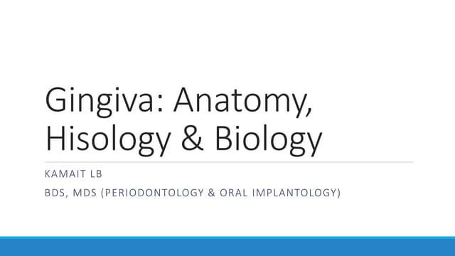 Histology of Gingiva | PPTX