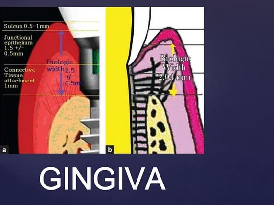 Structure of Nail | PPTX | Nail Care | Beauty