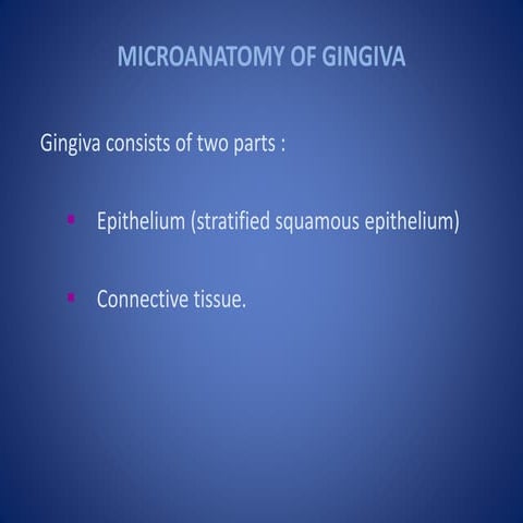 Anatomy of gingival microscopy and gingival epithelium | PPTX