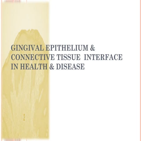 GINGIVAL AND CONNECTIVE TISSUE INTERFACE.pptx