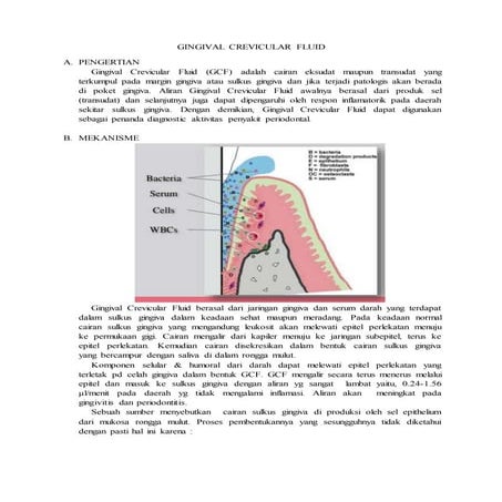 Gingival crevicular fluid (caian Sulkus GIngiva) | DOCX