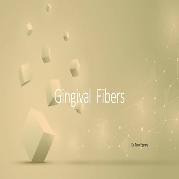 Gingival Fibers (PERIODONTIUM) for dental students.pptx