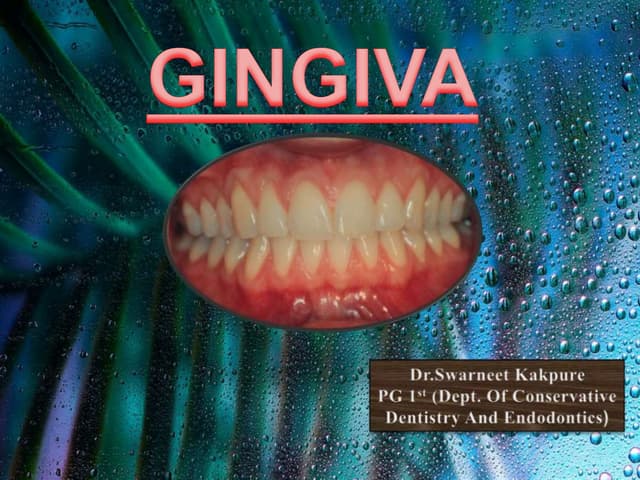 GINGIVA Macroscopic features | PPTX