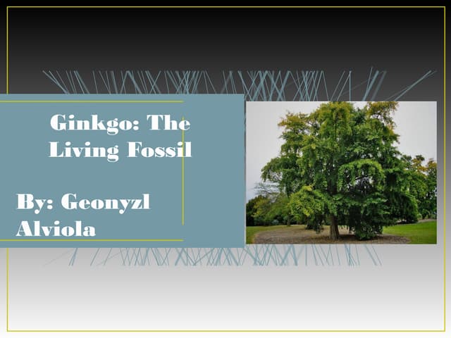 Classifying Plants Based On Climate And Habitat | PPT