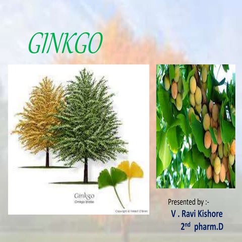 Ginkgo Biloba | PPT