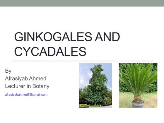 cycas.pptx | Gardening | Home & Garden