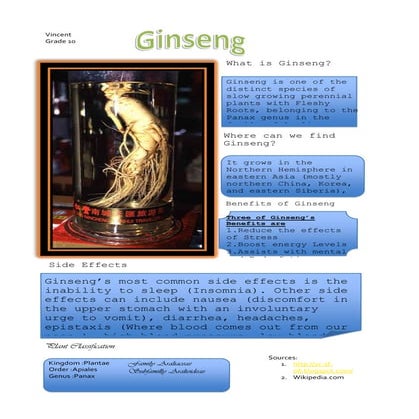 Ginseng | PDF