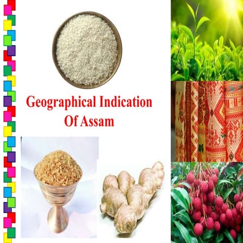 GI of ASSAM, INDIA | PPTX