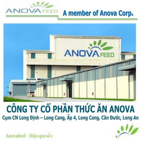 Gioi thieu AnovaFeed | PPTX