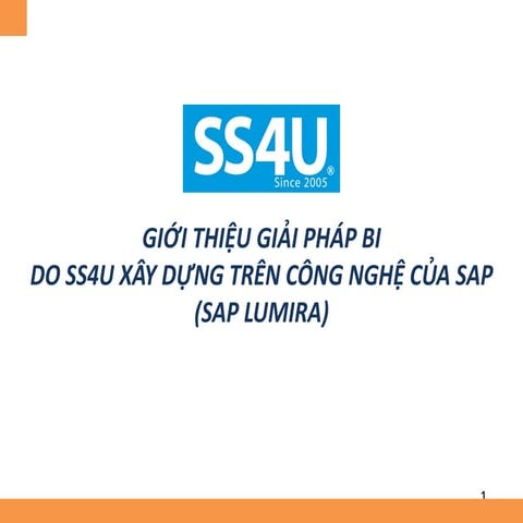 GIỚI THIỆU GIẢI PHÁP BI DO SS4U XÂY DỰNG TRÊN CÔNG NGHỆ CỦA SAP (SAP ...