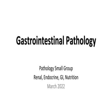 GI Path SG 2022 (student prep slides).pptx