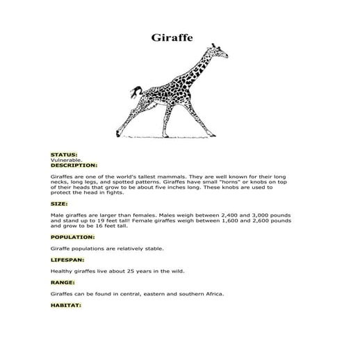 Giraffe | PDF