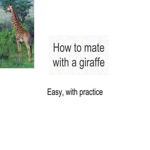Giraffe | PPT