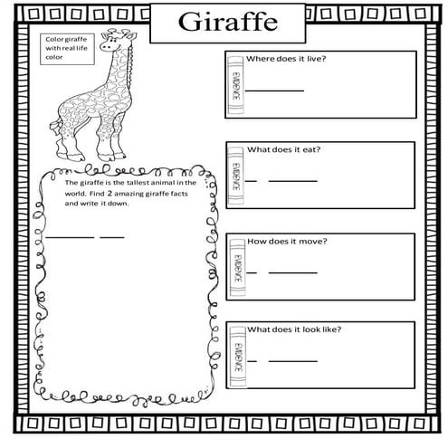 Giraffe animal research | DOCX