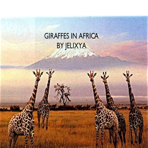 Giraffes | PPTX
