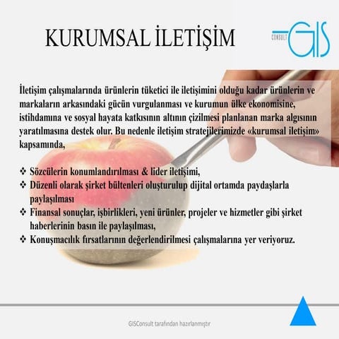 Kurumsal İletisim | PDF